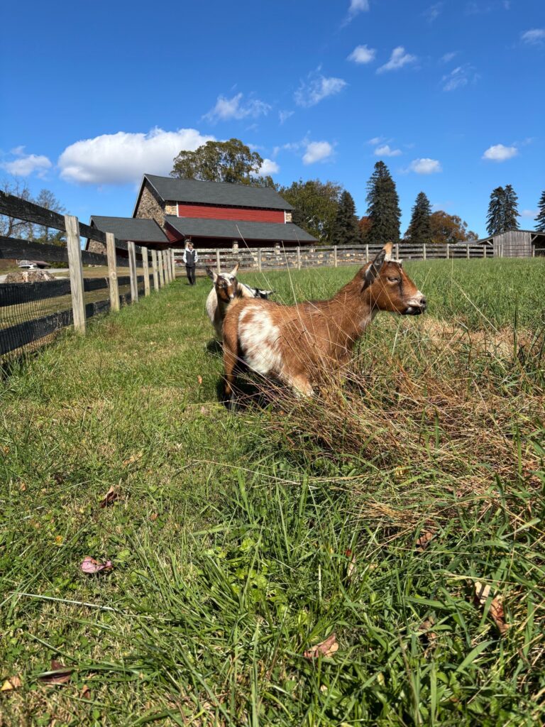Sam's Ranch - Sam's Kids